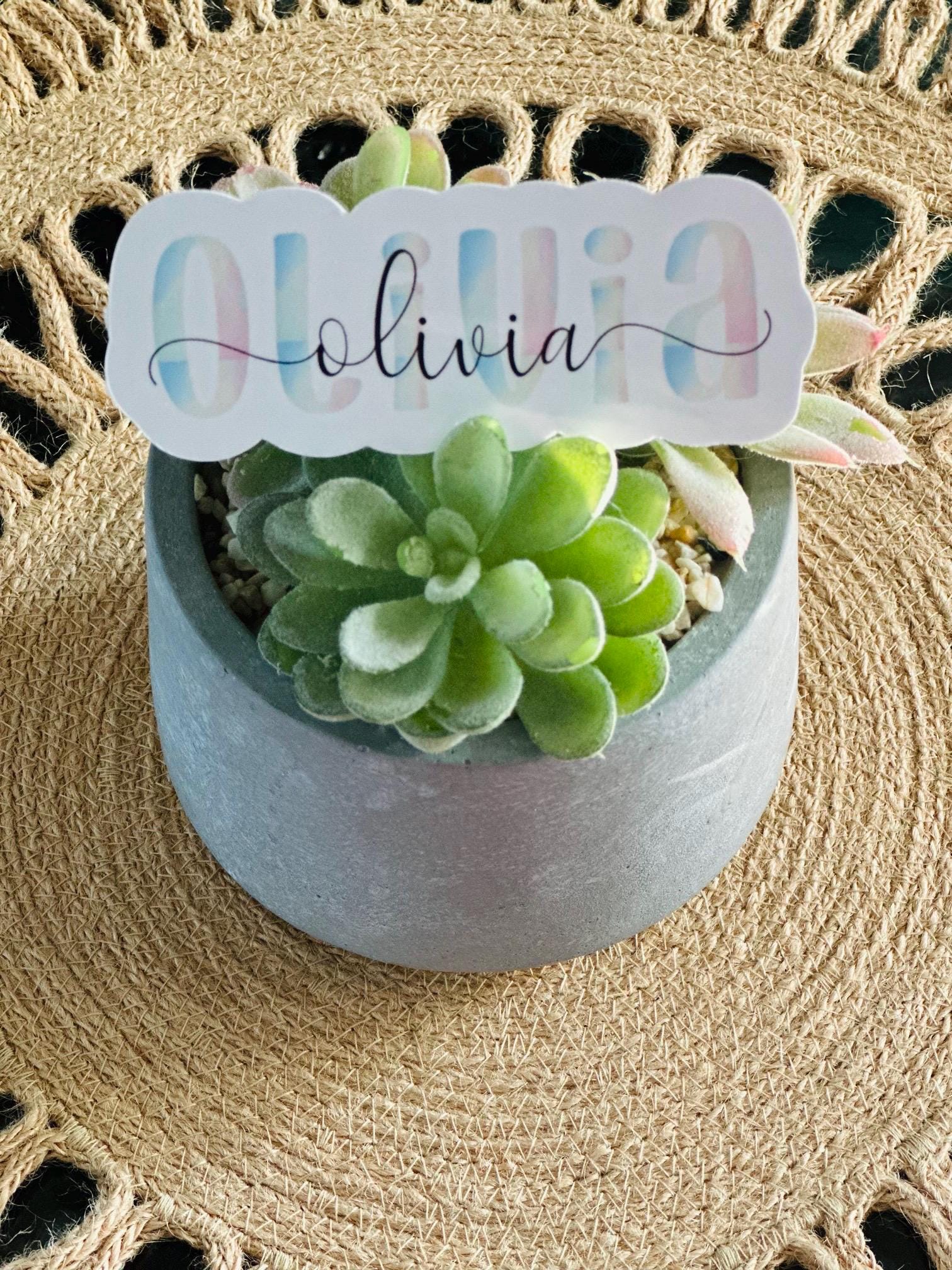Sticker Name/ Custom Name/ Cute Name/ Personalized Name/name Decal - Etsy