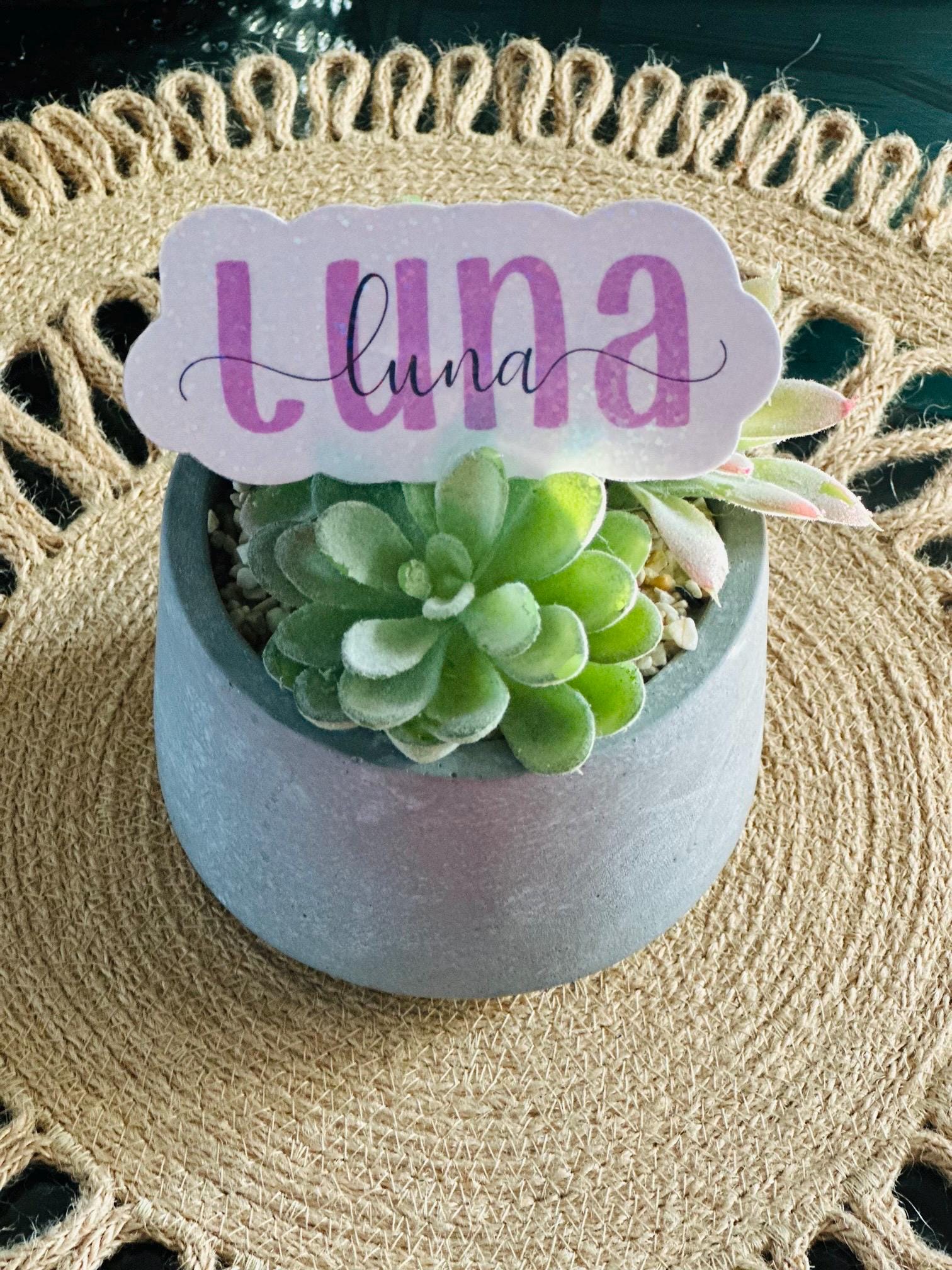 Sticker Name/ Custom Name/ Cute Name/ Personalized Name/name Decal - Etsy