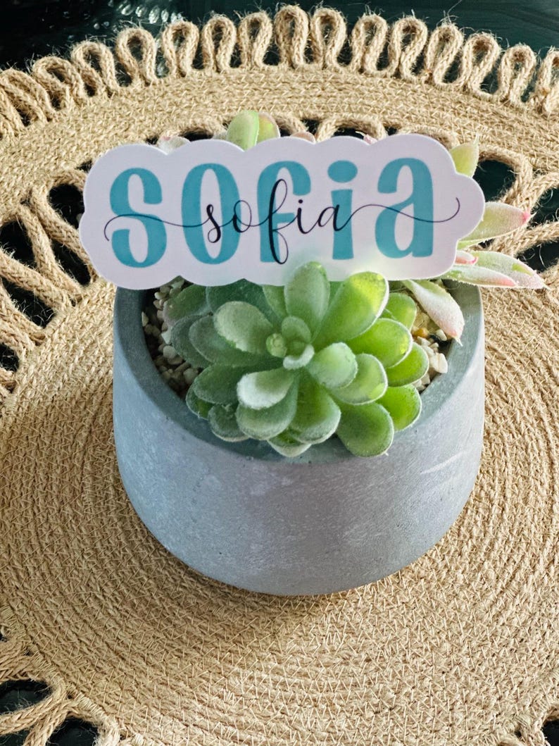 Sticker Name/ Custom Name/ Cute Name/ Personalized Name/name Decal - Etsy