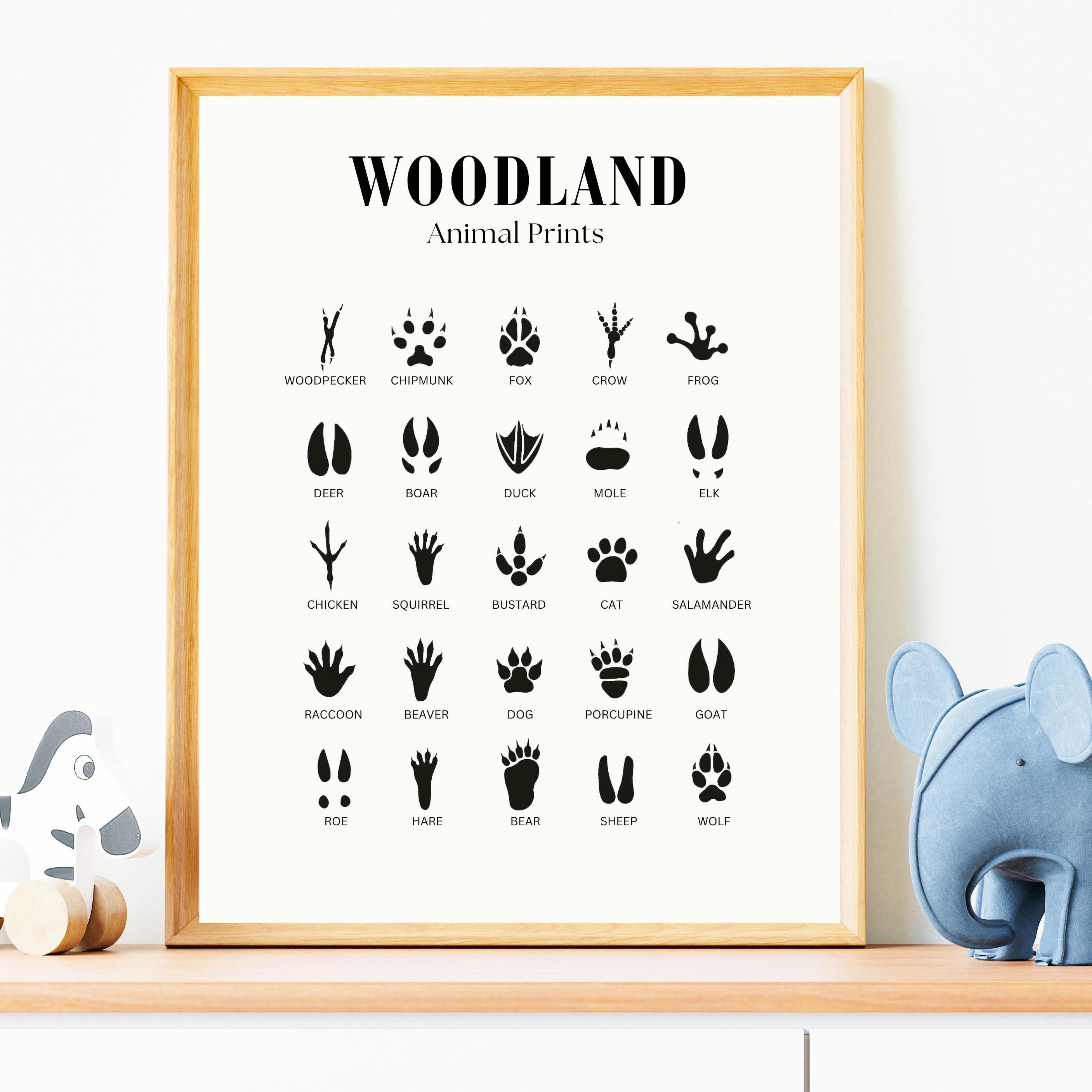 Printable Animal Tracks Sign, Woodland Nursery Decor, Boys Room Wall ...