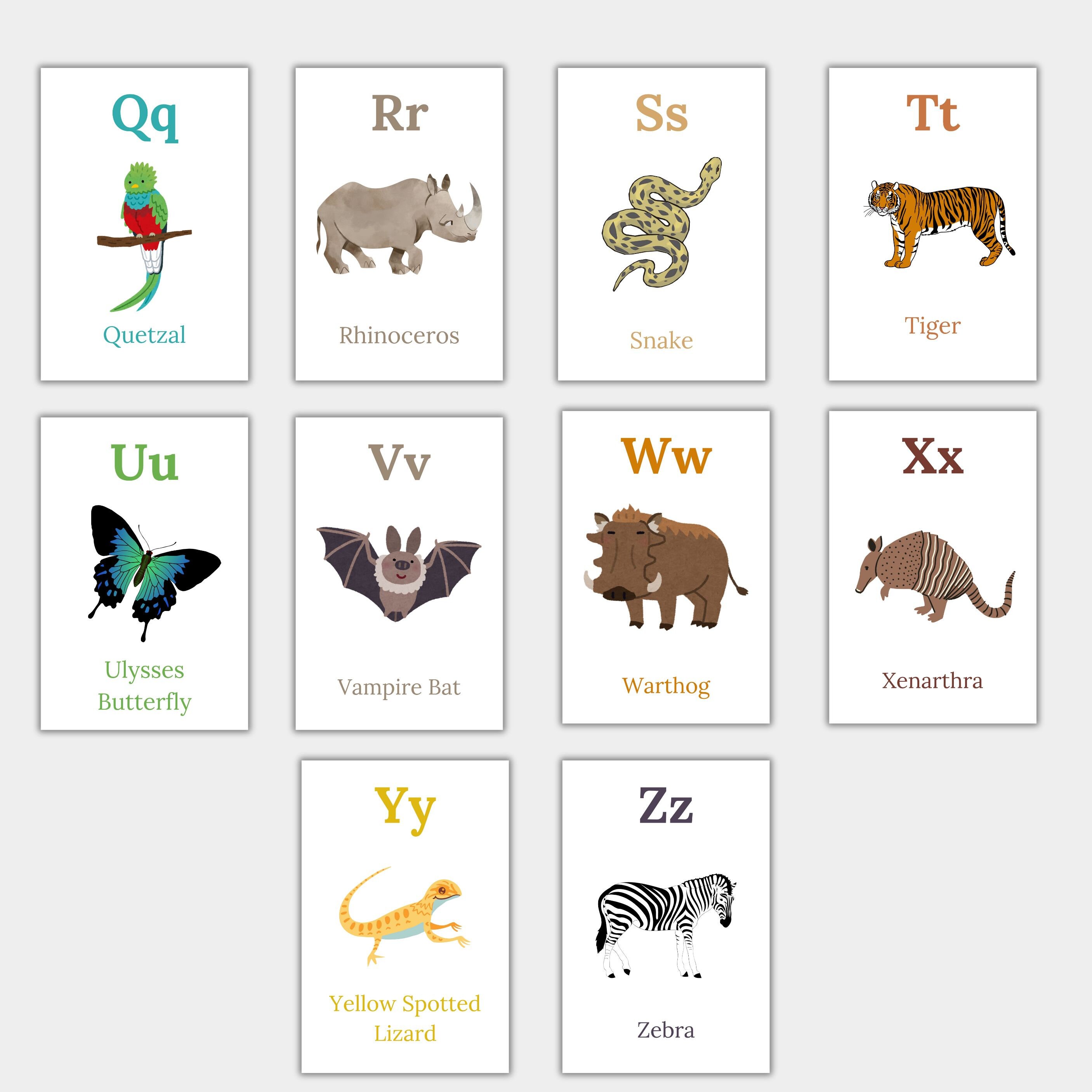 Safari Alphabet Flash Cards Template, Photo Educational Montessori ...