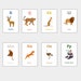 Safari Alphabet Flash Cards Template, Photo Educational Montessori ...