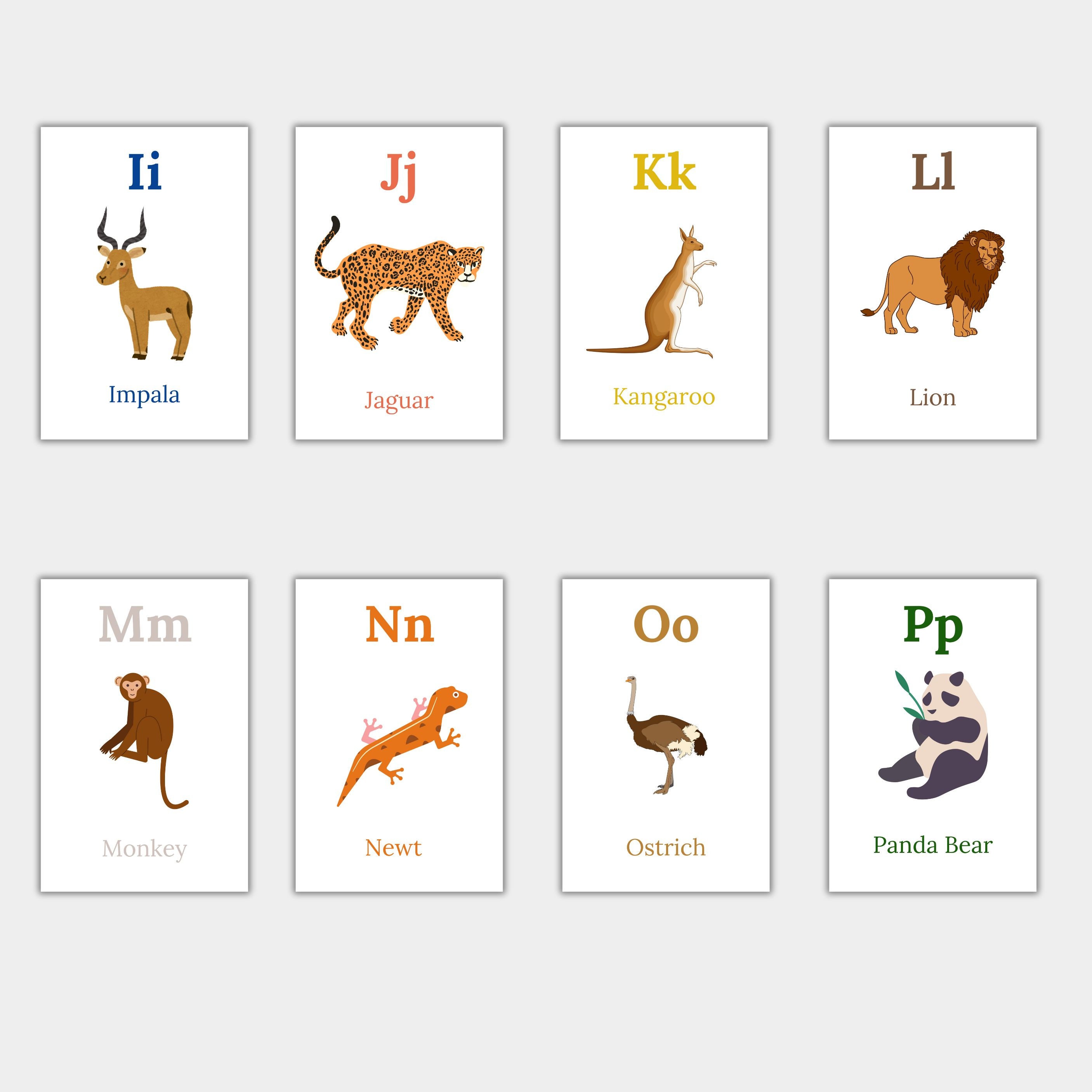 Safari Alphabet Flash Cards Template, Photo Educational Montessori ...
