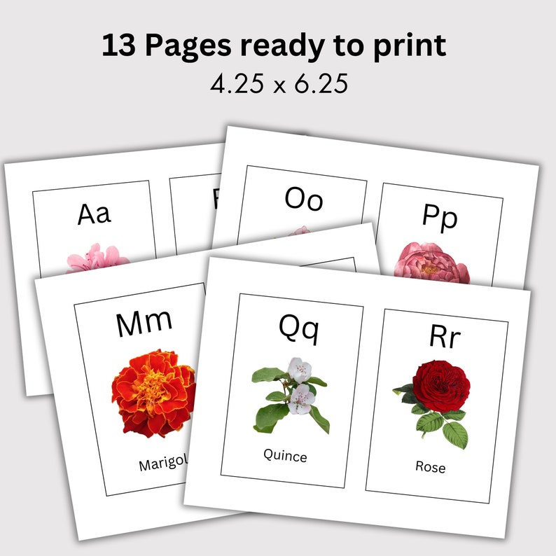 Flower Alphabet Flash Cards Template, Educational Montessori Cards ...