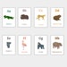 Safari Alphabet Flash Cards Template, Photo Educational Montessori ...