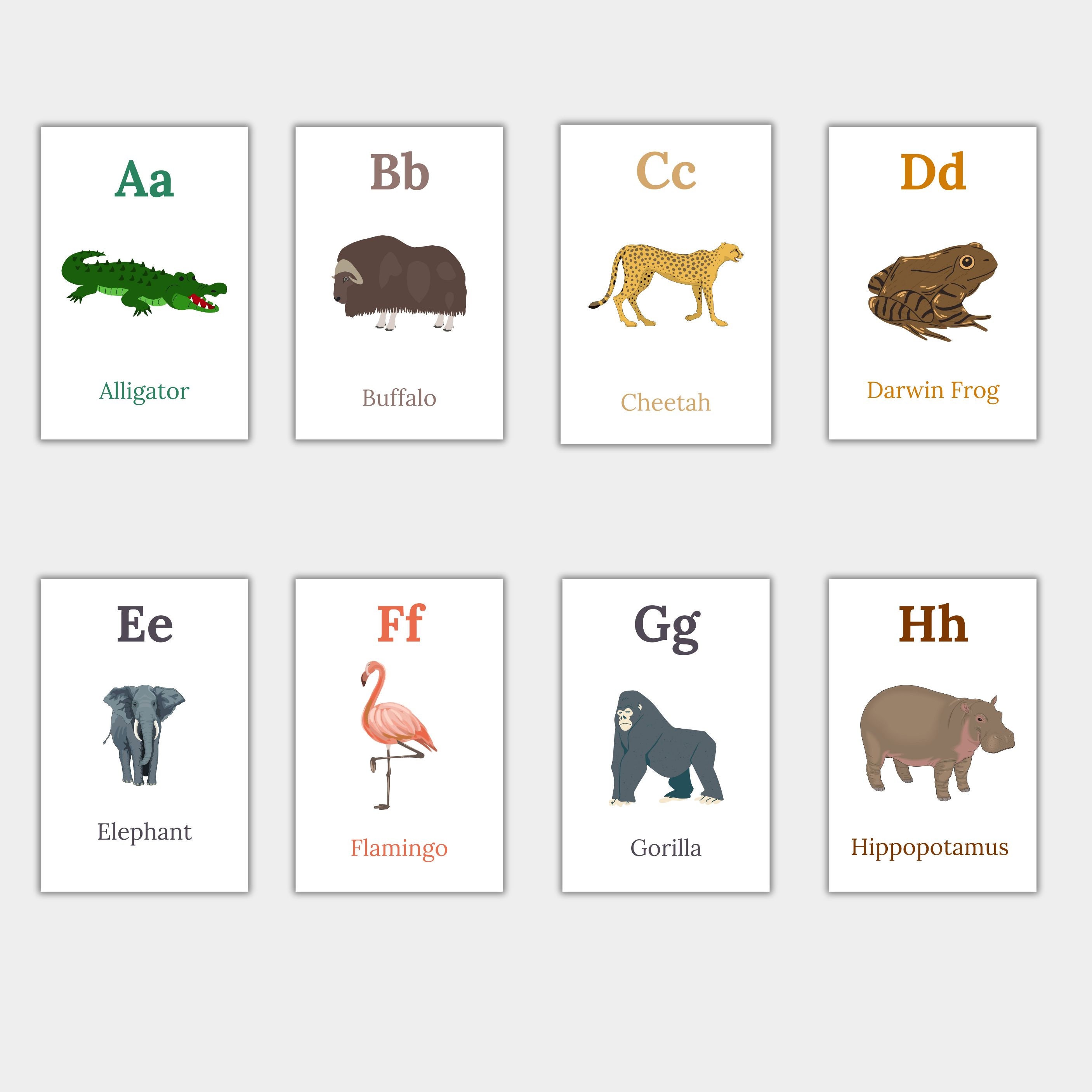Safari Alphabet Flash Cards Template, Photo Educational Montessori ...