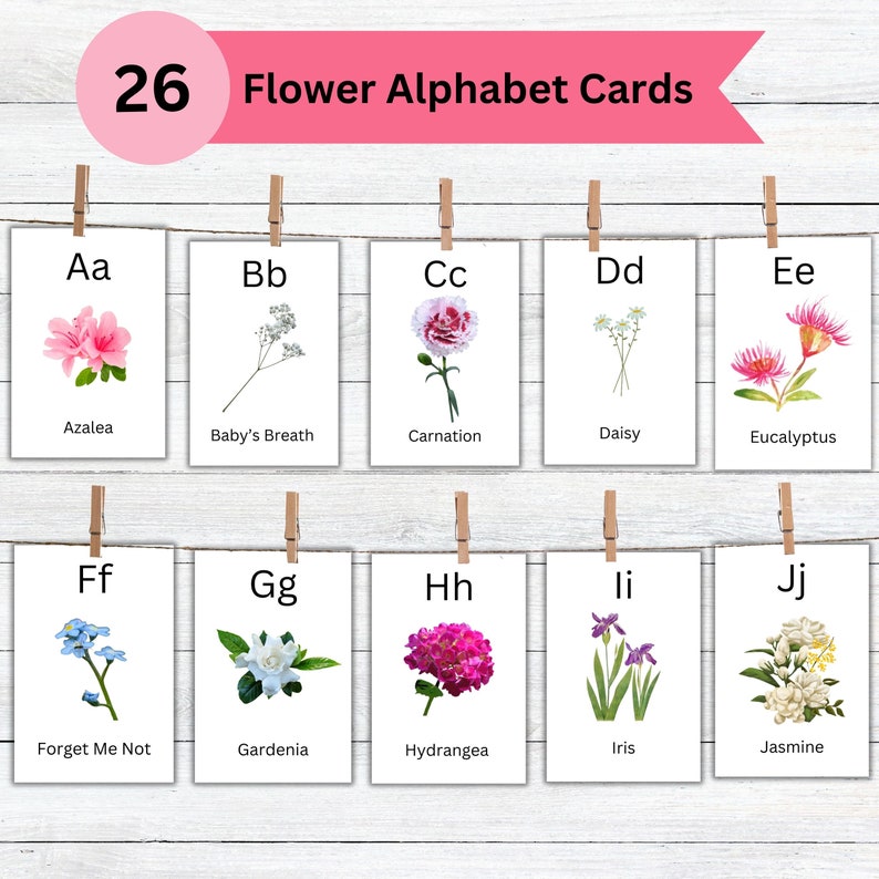 Flower Alphabet Flash Cards Template, Educational Montessori Cards ...
