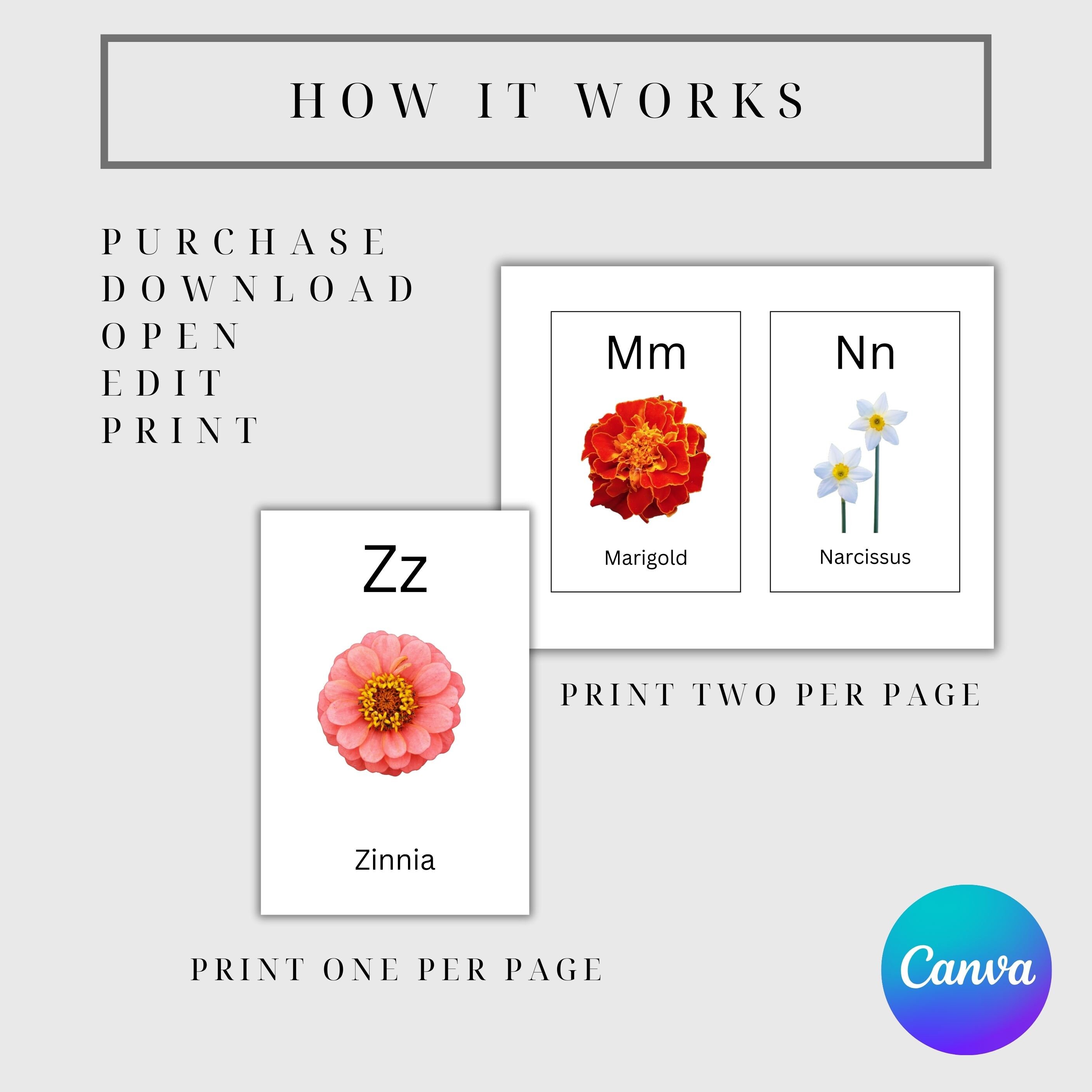 Flower Alphabet Flash Cards Template, Educational Montessori Cards ...