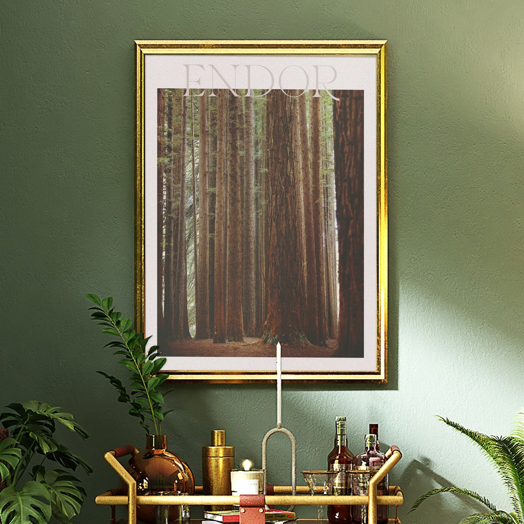 Endor Redwoods Return of the Jedi Wall Art Digital Download - Etsy