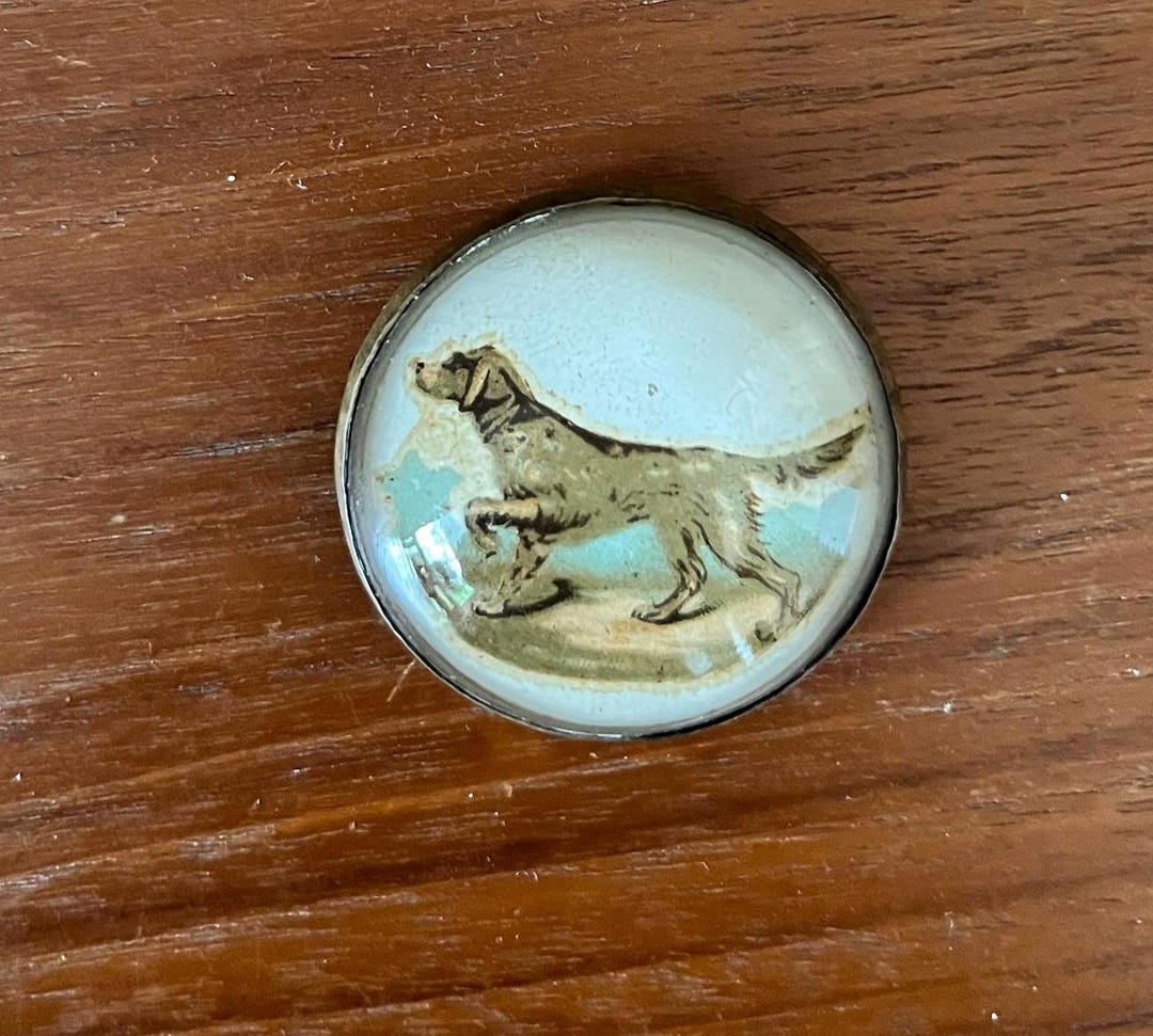 Victorian Bridle Rosette Button Pin With Irish Setter (?) - Etsy