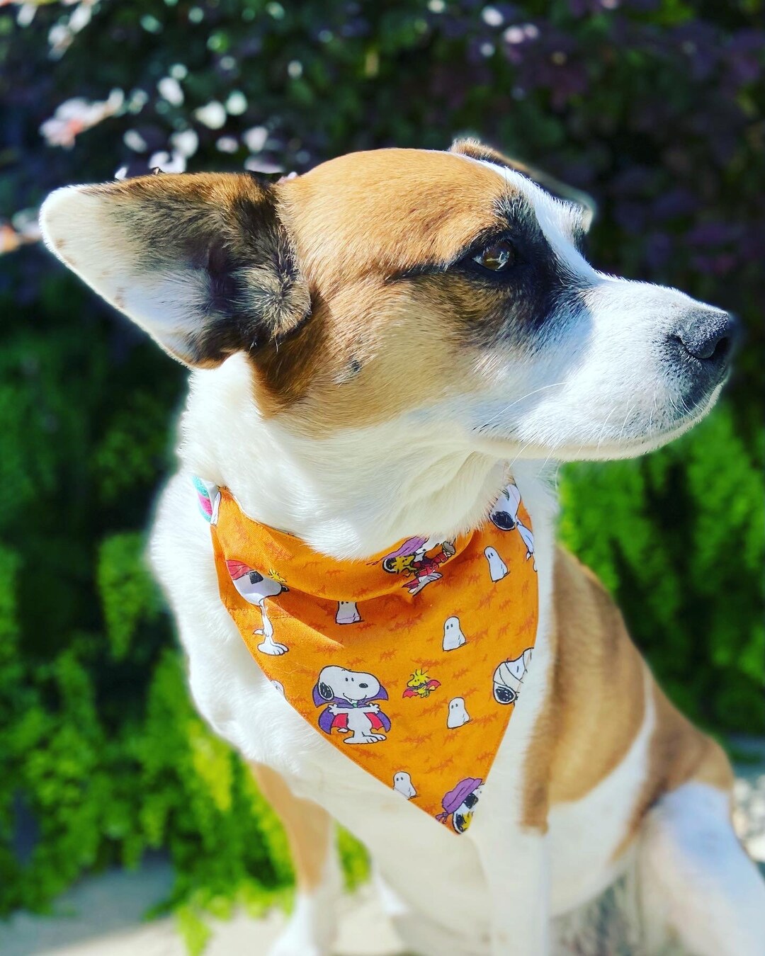 Halloween Snoopy Bandana - Etsy