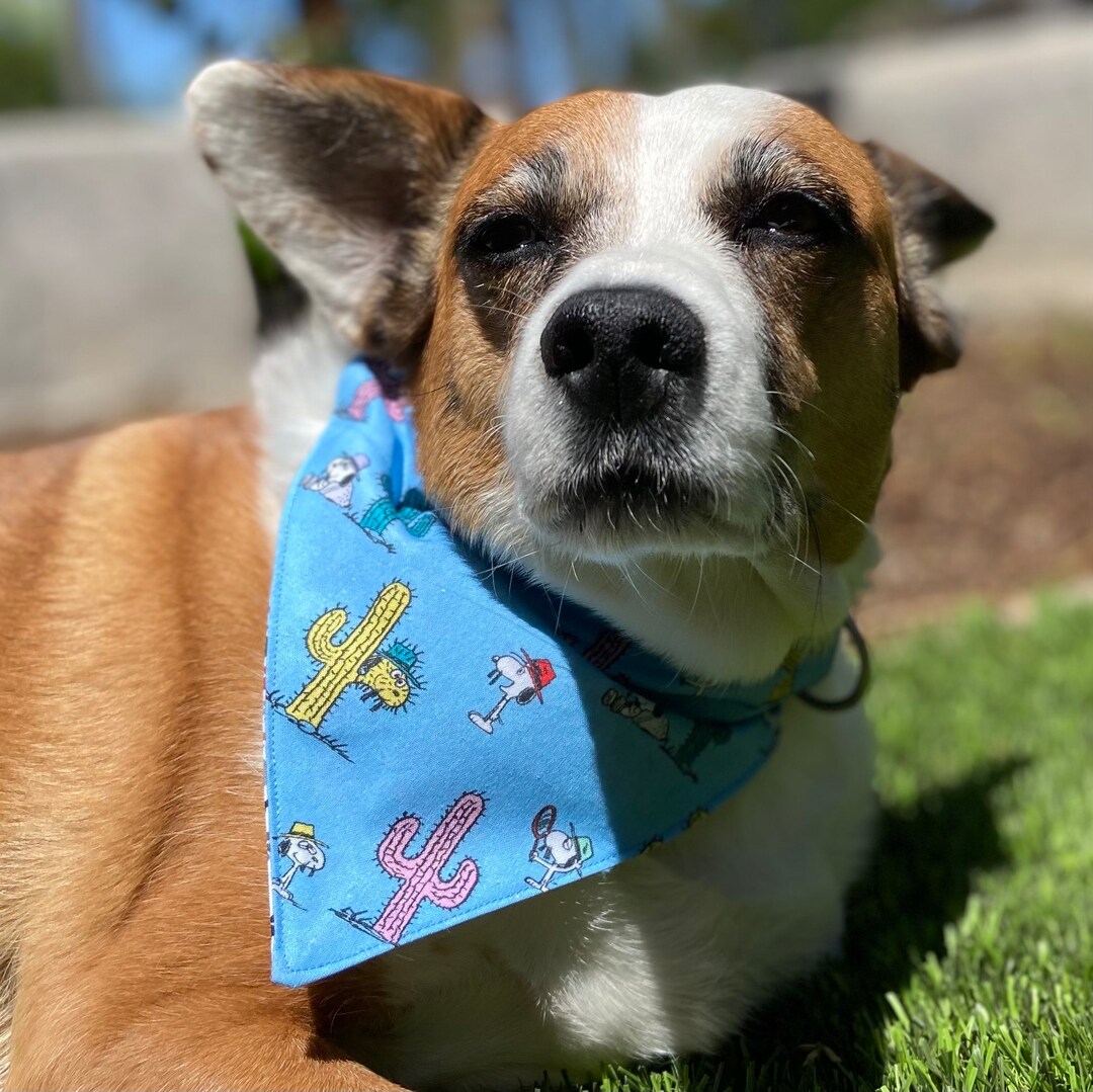 Snoopy & Spike Dog Bandana - Etsy