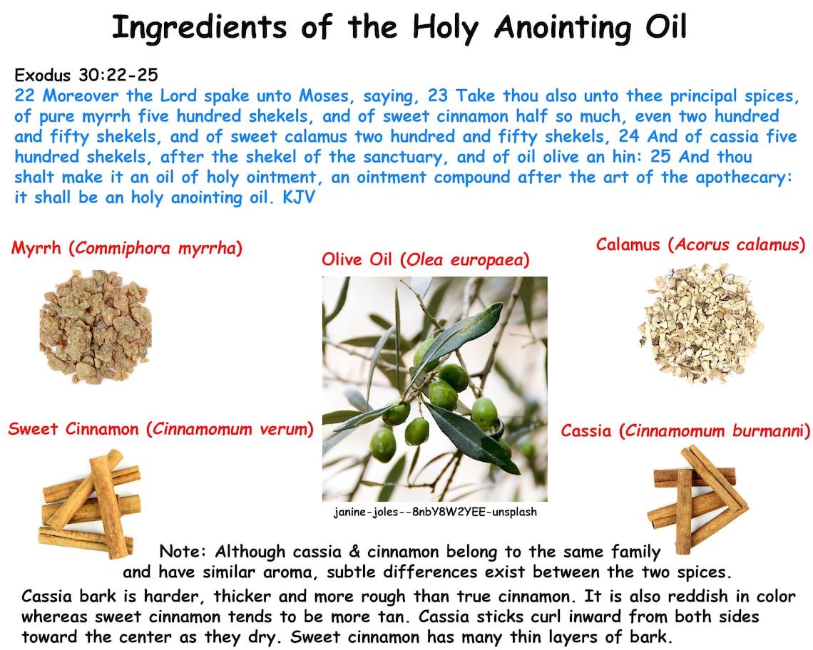 Exodus 30:22-25 the Sacred and Holy Anointing Oil. 1 Oz 30 - Etsy
