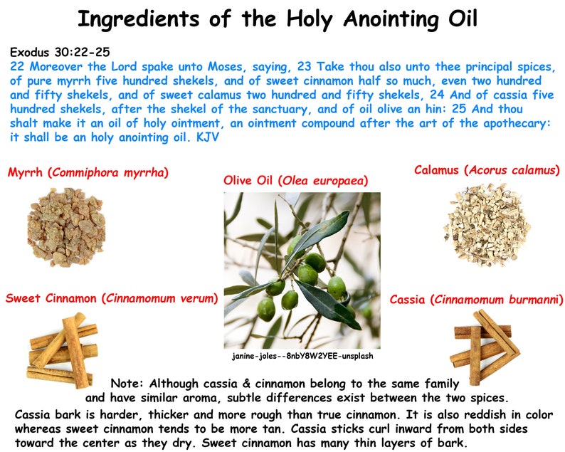 Exodus 30:22-25 the Sacred and Holy Anointing Oil. 1 Oz 30 - Etsy