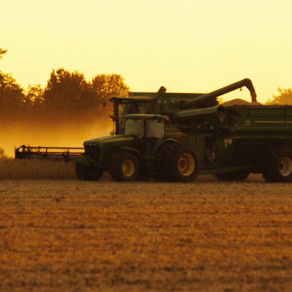 Farm Life Photo - Etsy