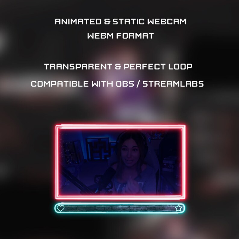 Animated Webcam Frame Pack Neon Facecam Twitch Graphics Youtube Overlay ...