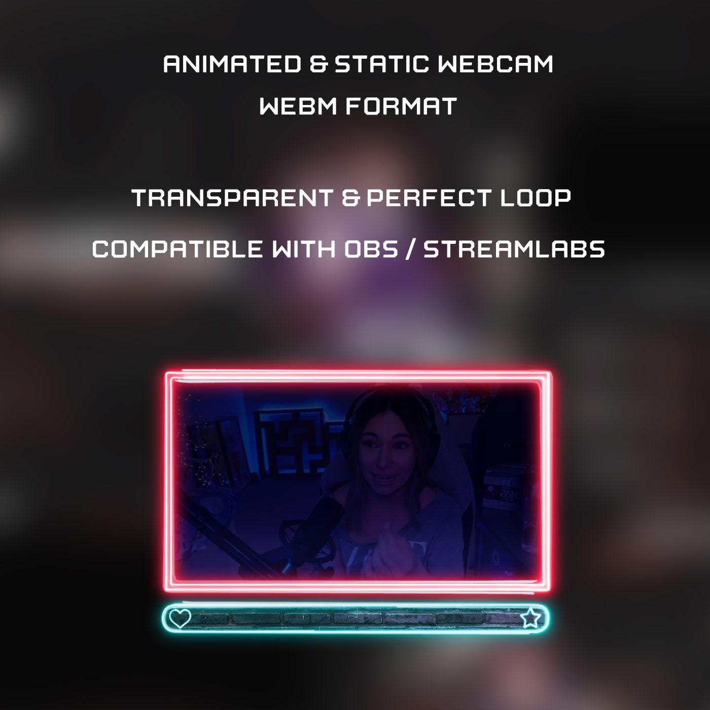 Animated Webcam Frame Pack Neon Facecam Twitch Graphics Youtube Overlay ...