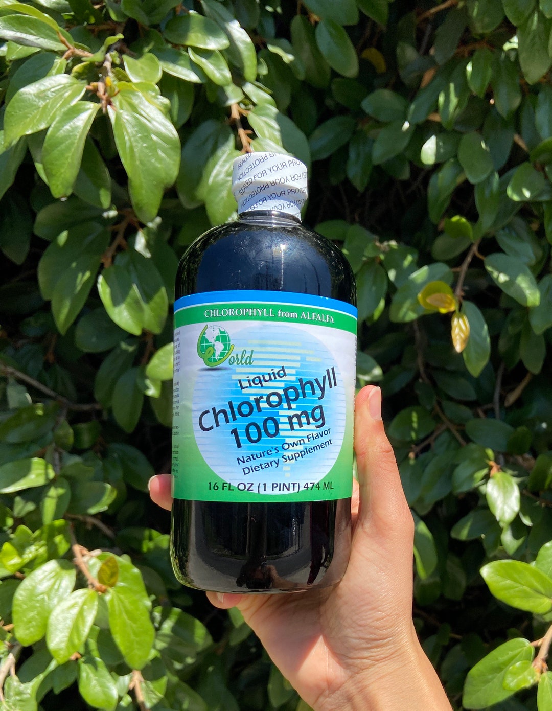 Organic Liquid Chlorophyll, 8 Oz & 16 Oz - Etsy