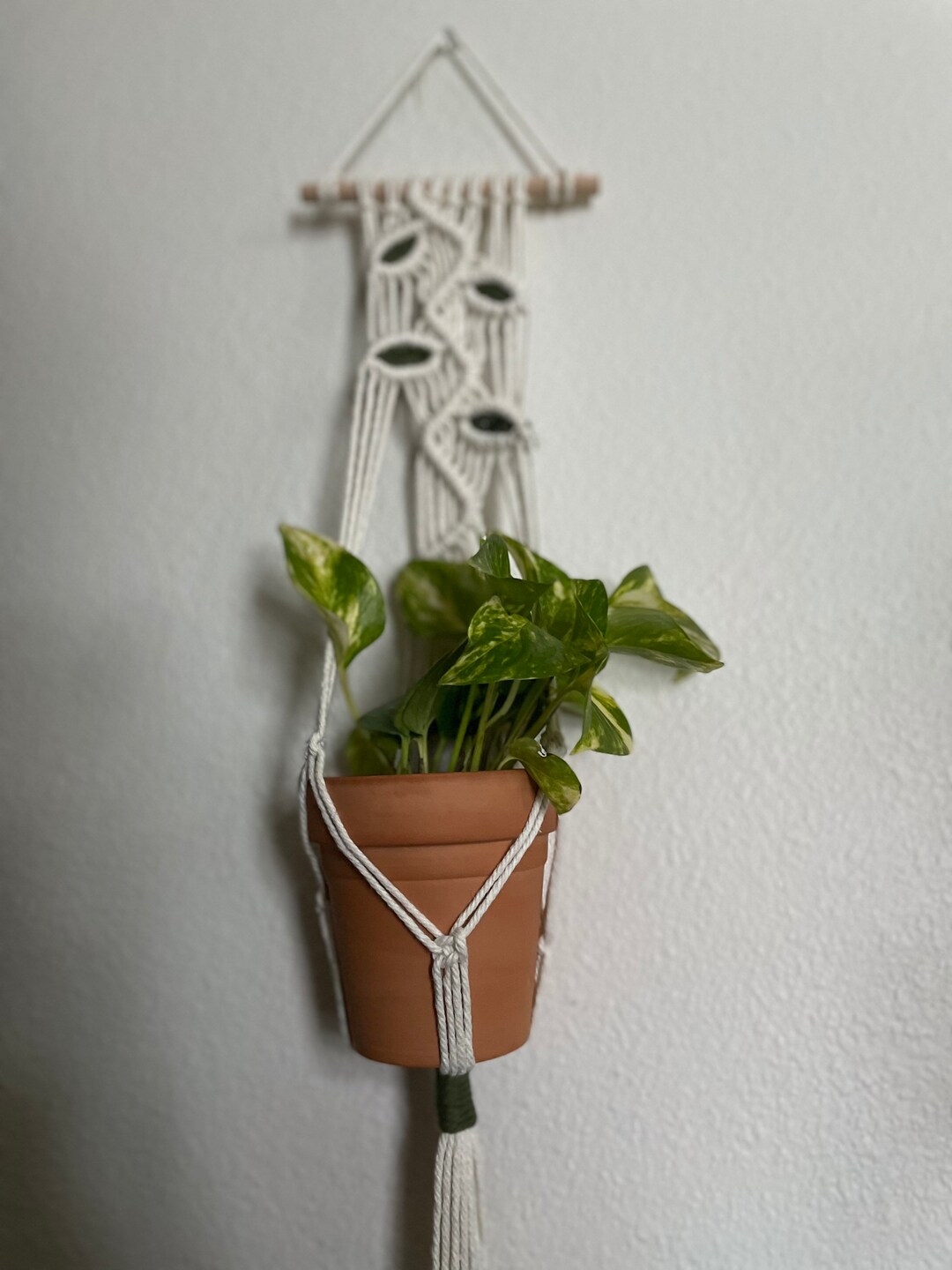 Leaf and Stem Plant Hanger - Etsy