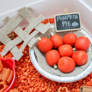 Pumpkin Pie Baking Sensory Kit, Pie Sensory Kit, Open Ended Play, Gift ...