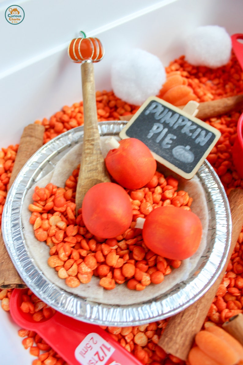 Pumpkin Pie Baking Sensory Kit, Pie Sensory Kit, Open Ended Play, Gift ...