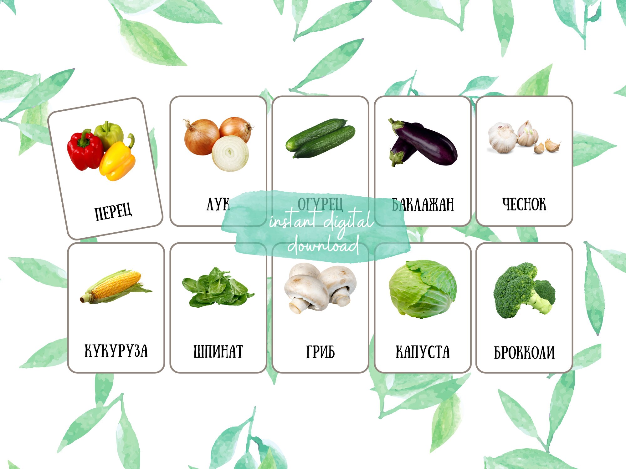 Vegetable Russian Flash Cards, Bilingual Cards, Montessori Material ...