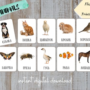 Farm Animals Russian Flash Cards, Bilingual Cards, Montessori Material ...
