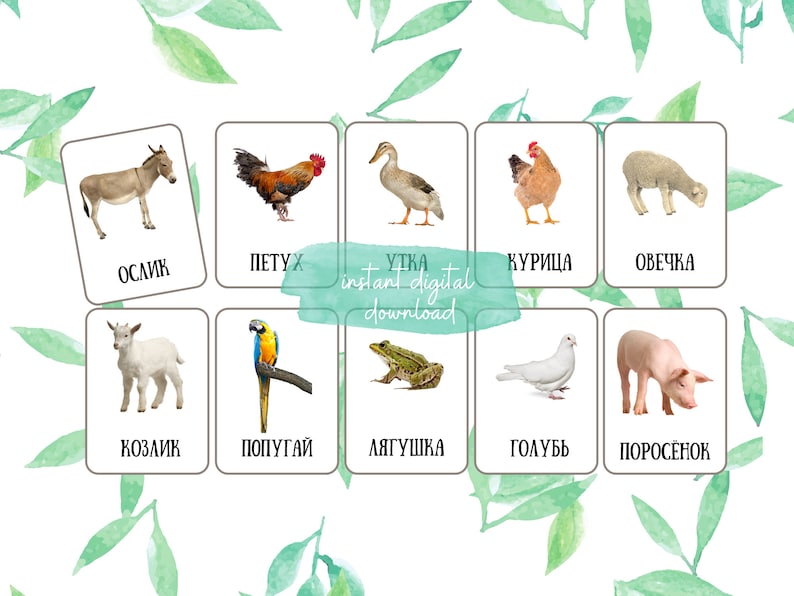 Farm Animals Russian Flash Cards, Bilingual Cards, Montessori Material ...