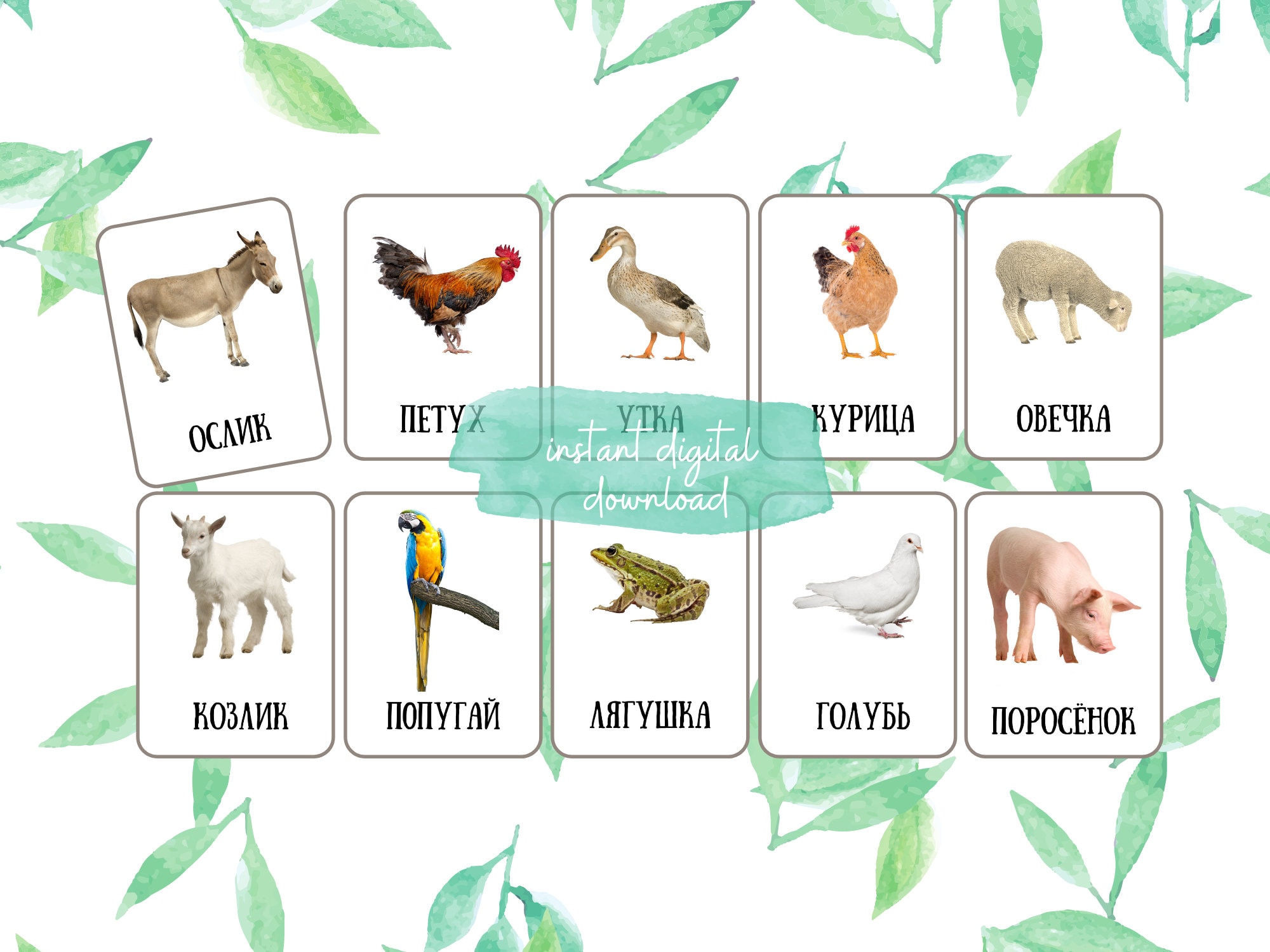 Farm Animals Russian Flash Cards, Bilingual Cards, Montessori Material ...