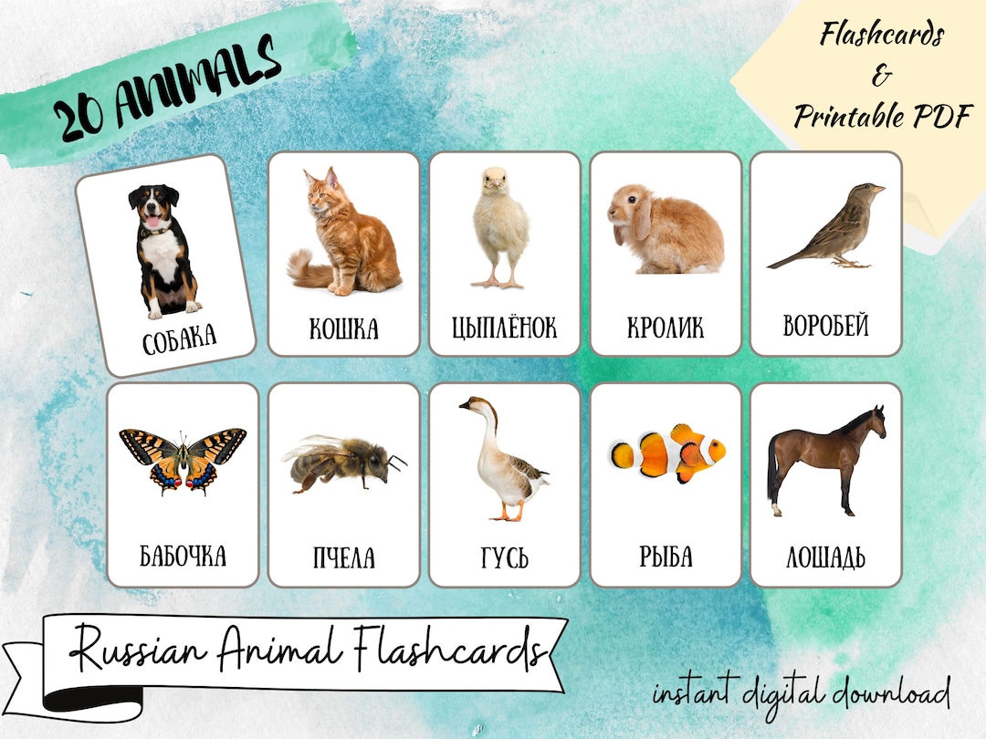 Farm Animals Russian Flash Cards, Bilingual Cards, Montessori Material ...
