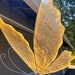 1.2M Big Butterfly Props Wedding Decoration, Wall Backdrop Wings ...