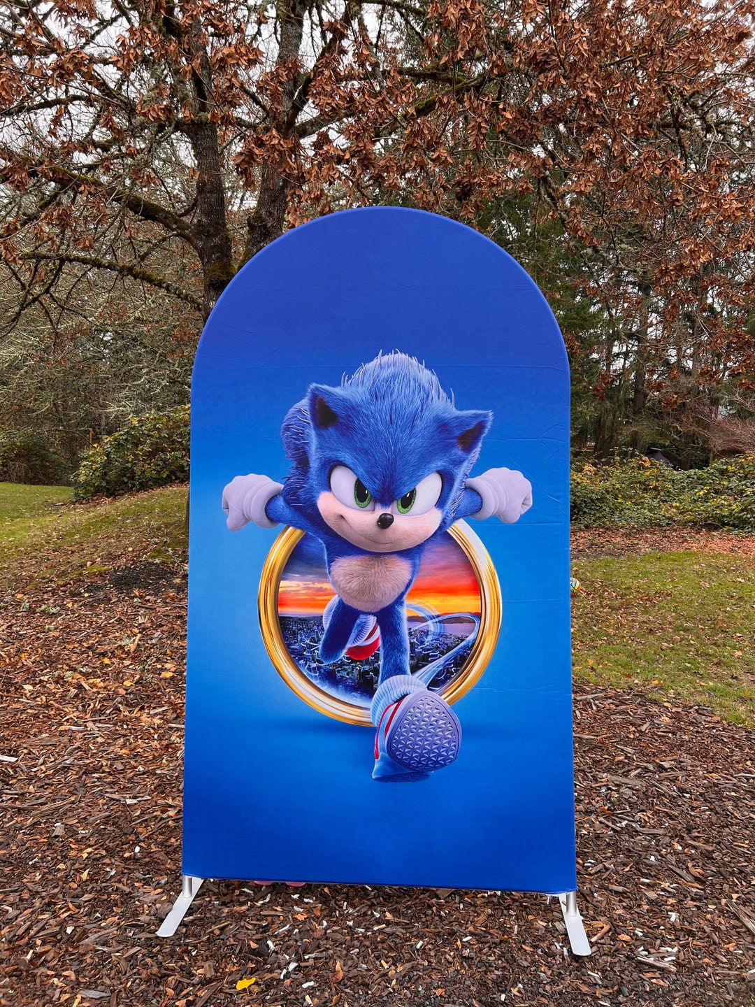 Sonic Backdrops/ Backdrop Covers for Party/party Decor Background - Etsy
