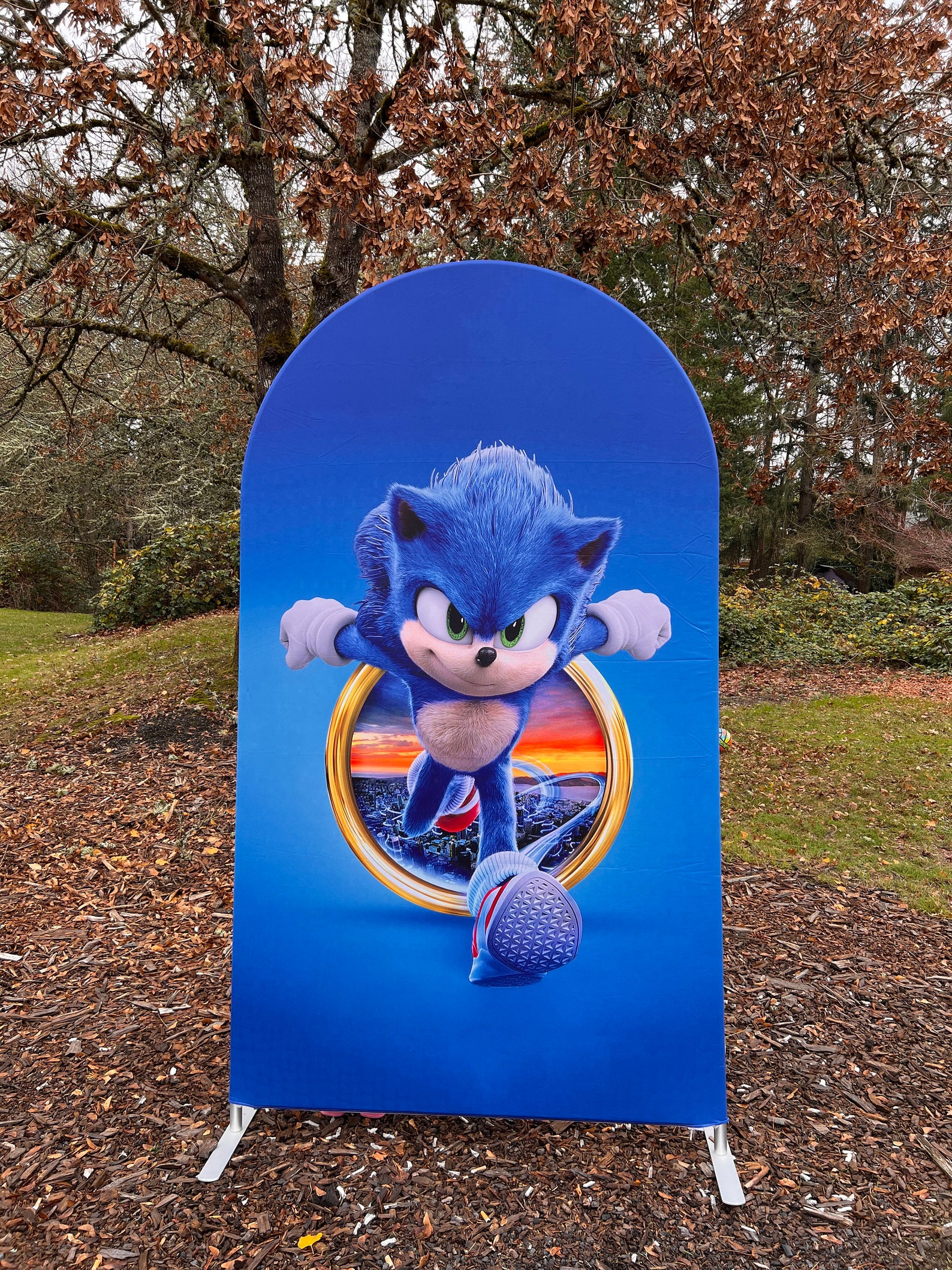 Sonic Backdrops/ Backdrop Covers for Party/party Decor - Etsy