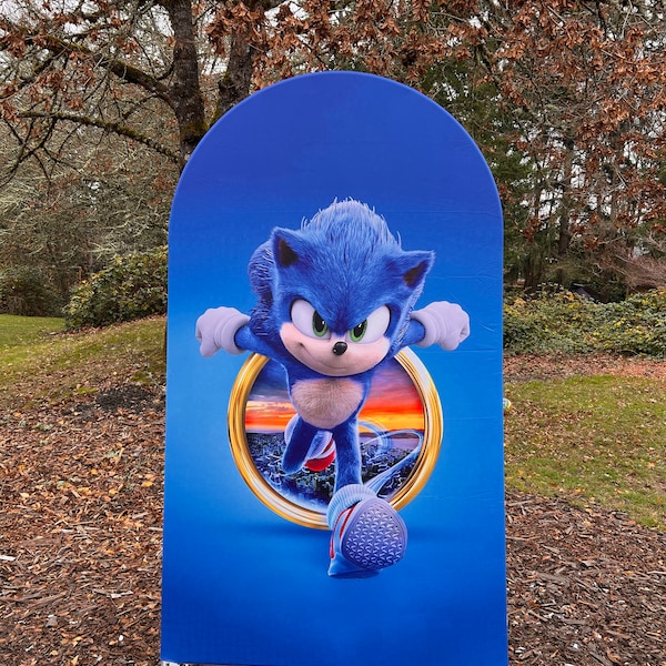 Sonic Backdrop Covers - Etsy