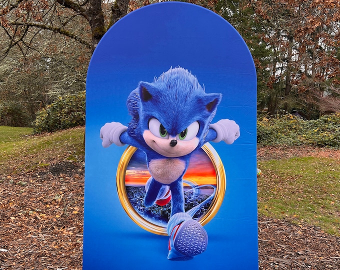 Sonic Backdrops/ Backdrop Covers for Party/party Decor Background - Etsy