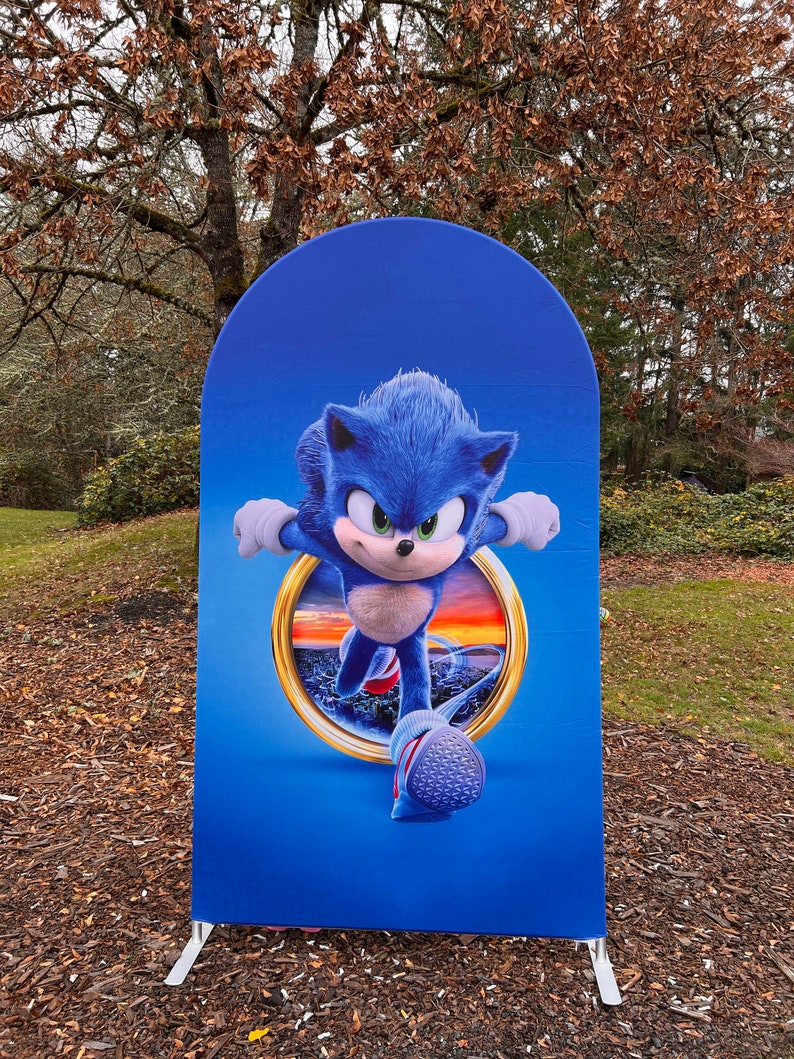 Sonic Backdrops/ Backdrop Covers for Party/party Decor - Etsy
