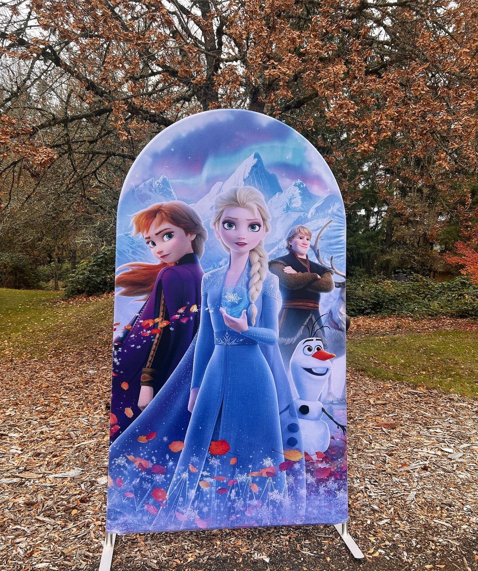 Frozen Backdrop Chiara Cover Background Party Events - Etsy