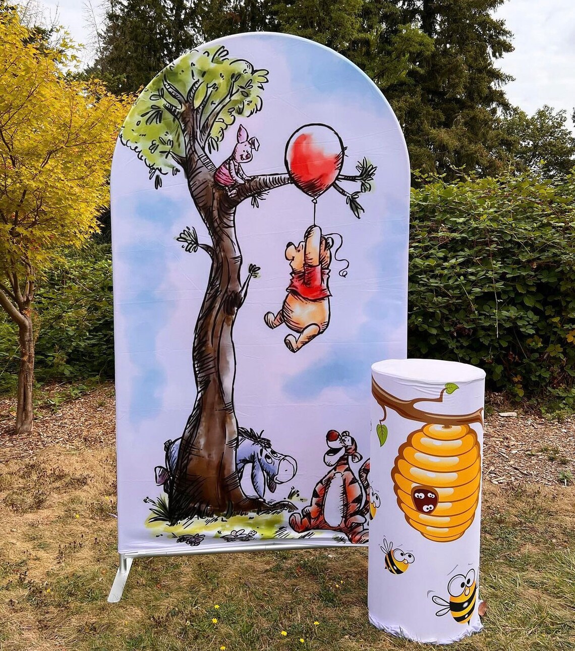 Winnie the Pooh Chiara Covers, Backdrops Covers, Double Print - Etsy