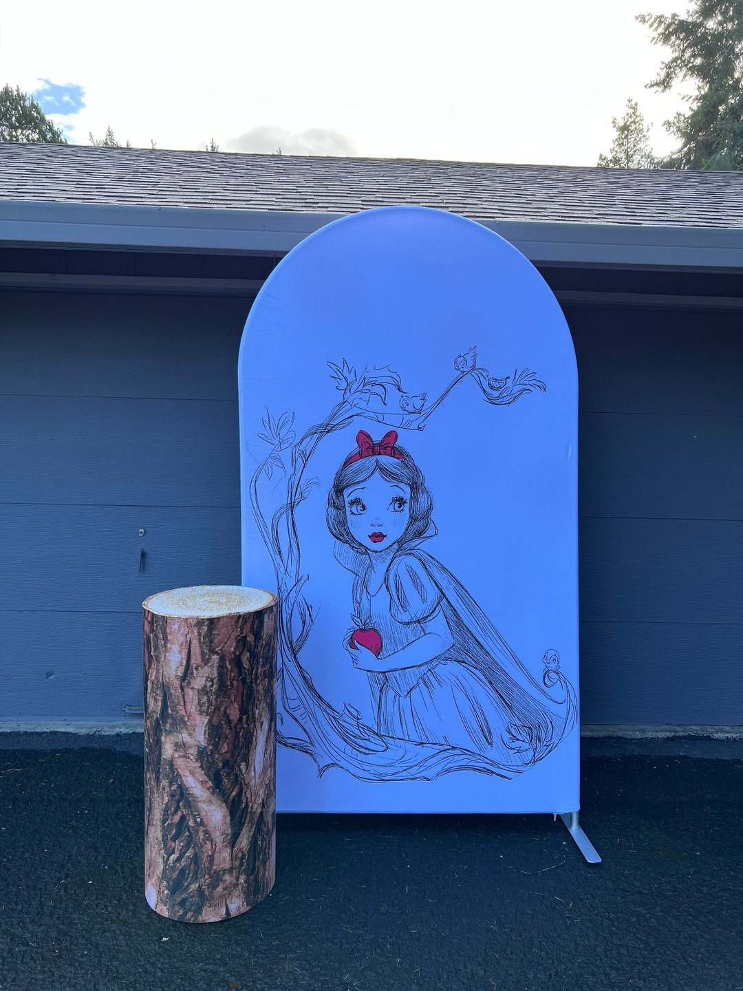 Snow White Backdrops Covers, Blanca Nieves, Party Props, Party Events ...