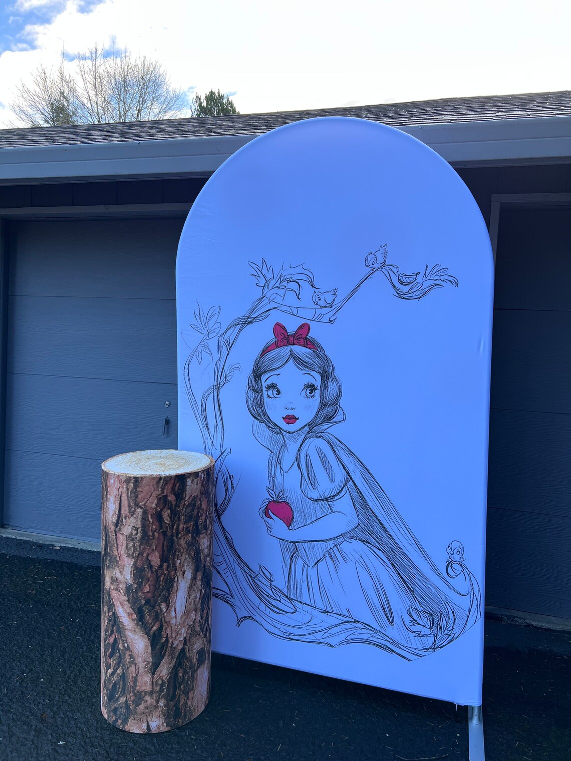 Snow White Backdrops Covers Blanca Nieves Party Props Party - Etsy