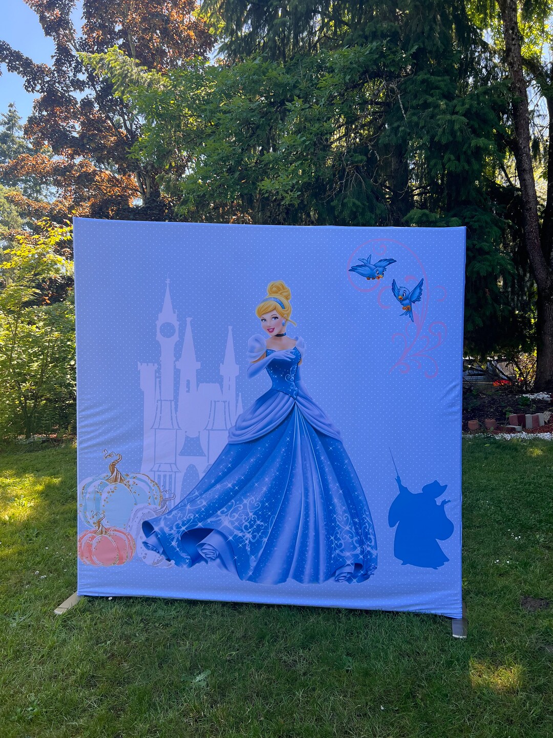 Cinderella Backdrop Cover, Polyester Party Props, Event Decoration, Double Sides Customize - Etsy
