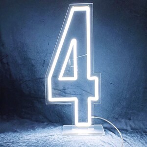 Large Light up Neon Sign Number /0-9 LED Neon Light / Birthday Signs ...
