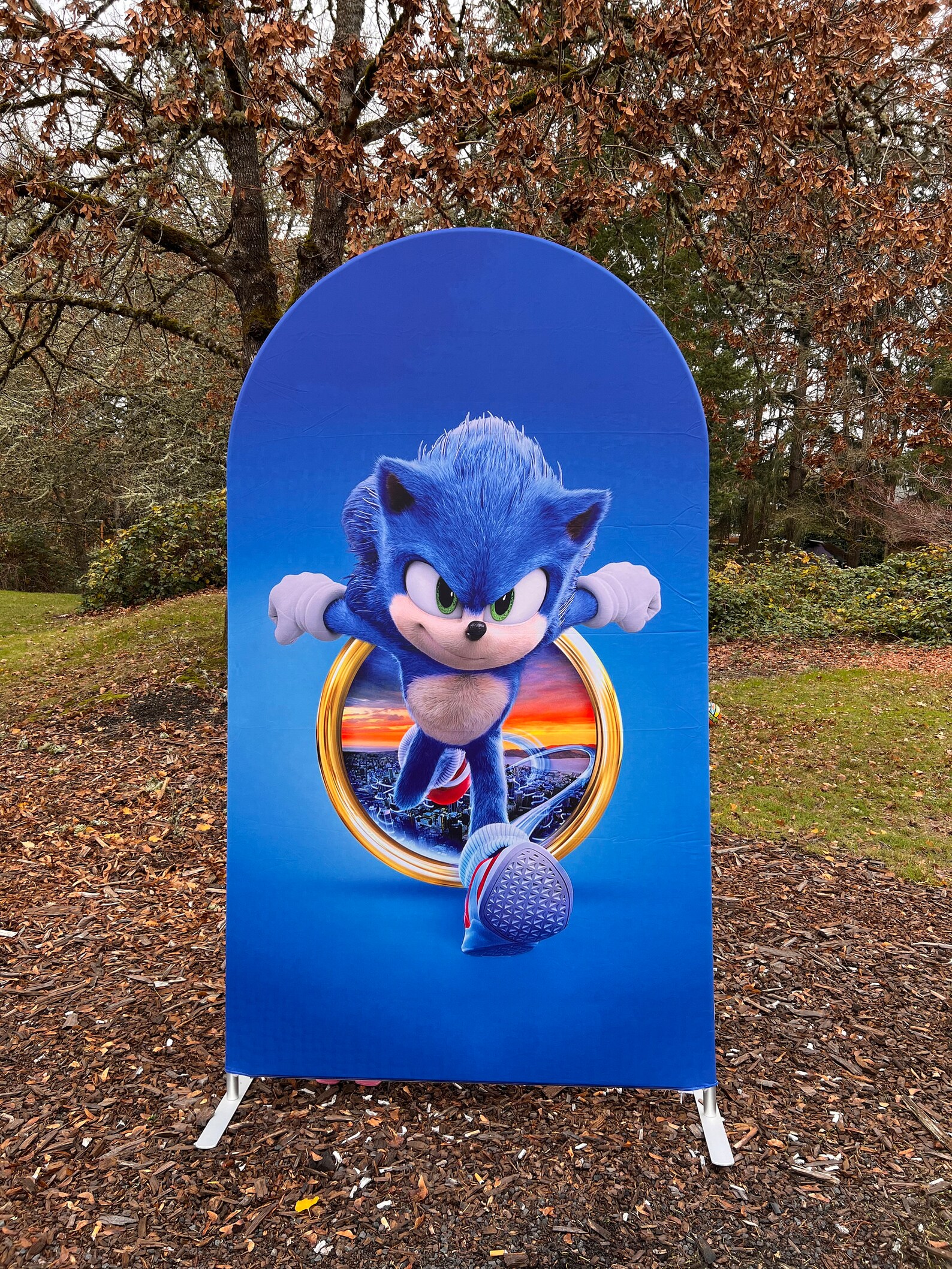 Sonic Backdrops/ Backdrop Covers for Party/party Decor - Etsy