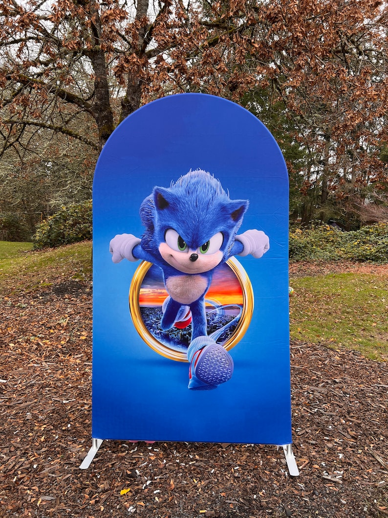 Sonic Backdrops/ Backdrop Covers for Party/party Decor - Etsy