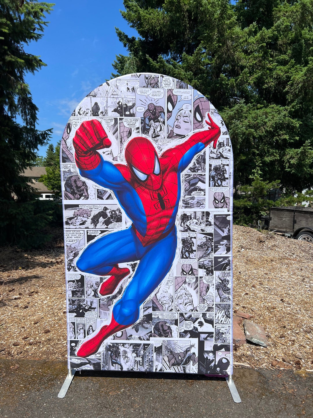 Spider Man Backdrop Cover, Party Props, Background Party Boy Polyester ...
