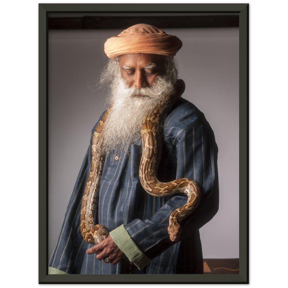 Sadhguru - 'serpents Peace', Metal Framed Poster, Premium Matte Paper ...