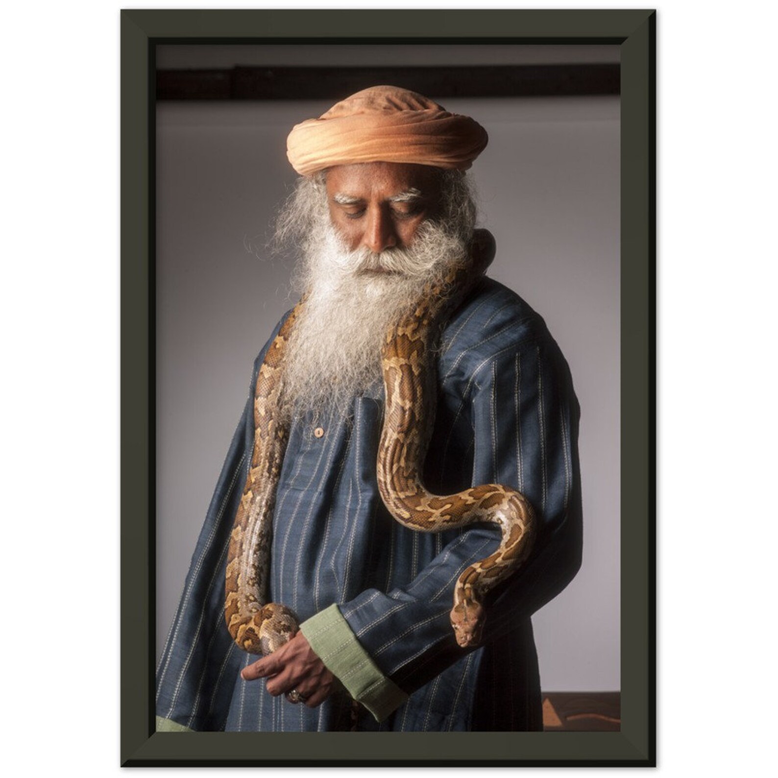 Sadhguru - 'serpents Peace', Metal Framed Poster, Premium Matte Paper ...
