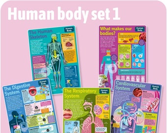 Human Body - Etsy UK