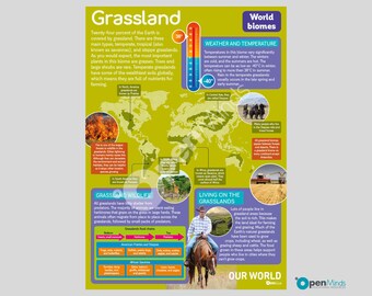 Grassland Poster - Etsy