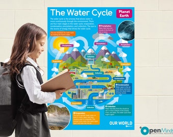 Water Cycle Poster - Etsy